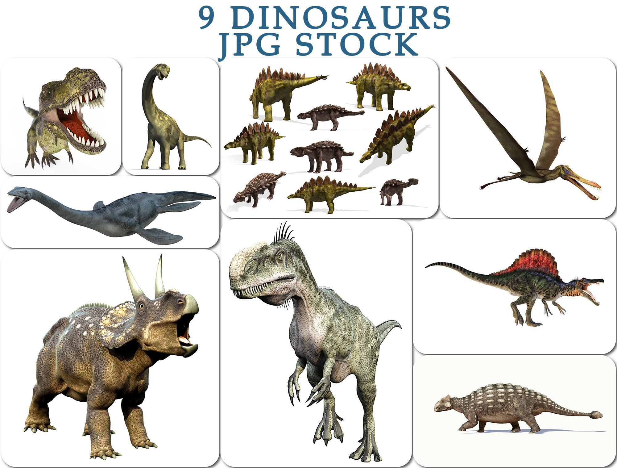 9 Dinosaur Digital Backdrop T-rex Rex Dinosaur Digital - Etsy Canada