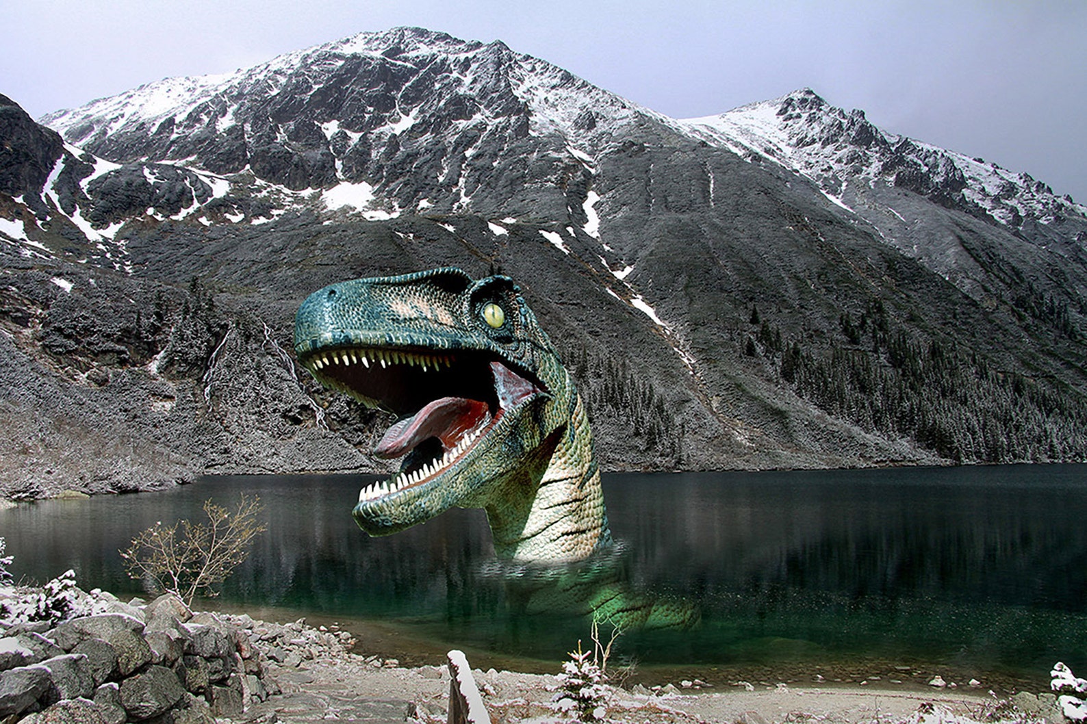 9 Dinosaur Digital Backdrop T-rex Rex Dinosaur Background - Etsy