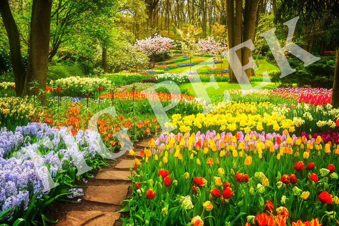 Garden With Spring Flowers Digital Backdrop, Pathway Through the Garden ...