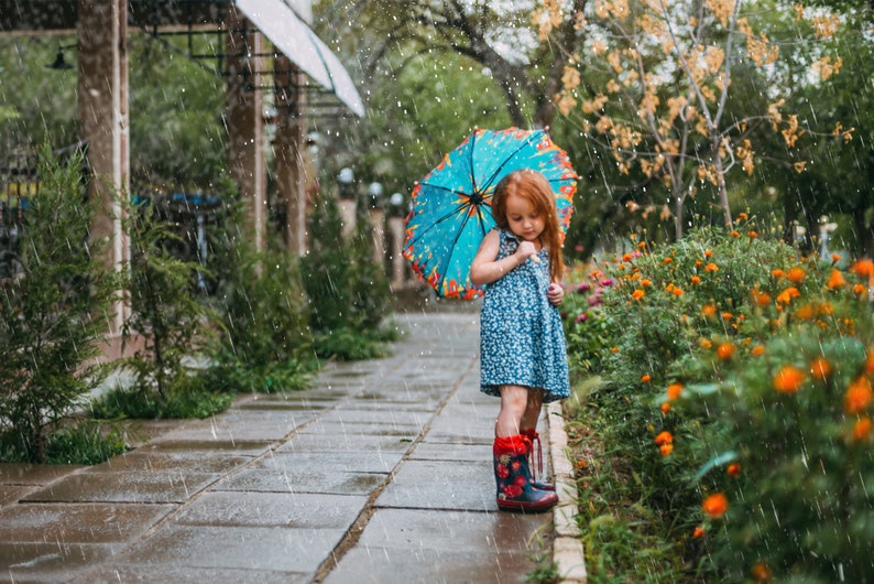 100 Rain Overlays Realistic Rain Rainfall Rainy Weather - Etsy