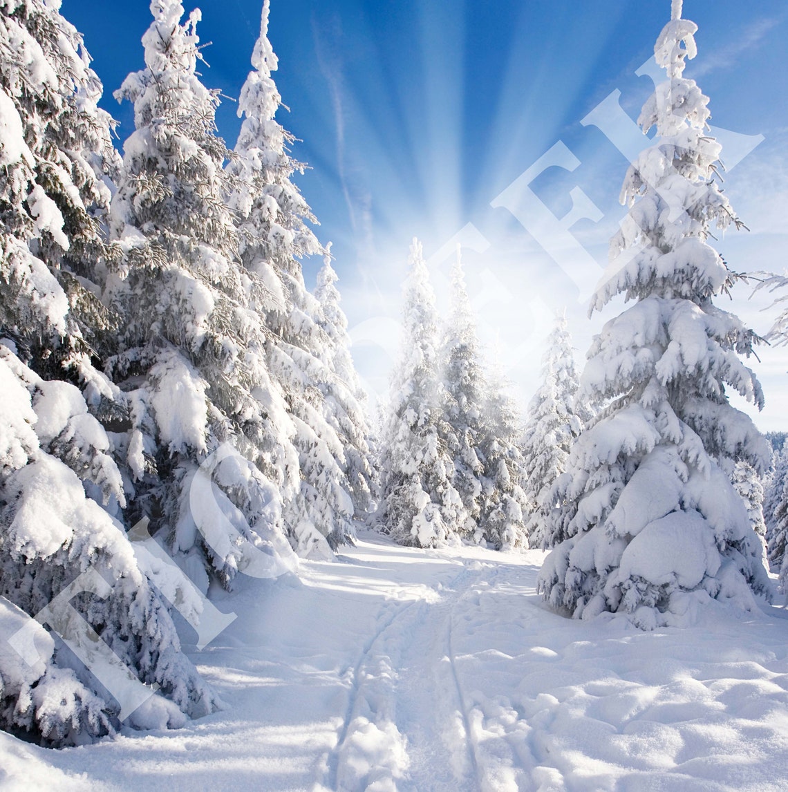 Christmas Tree Digital Backdrop Tree Digital Background - Etsy