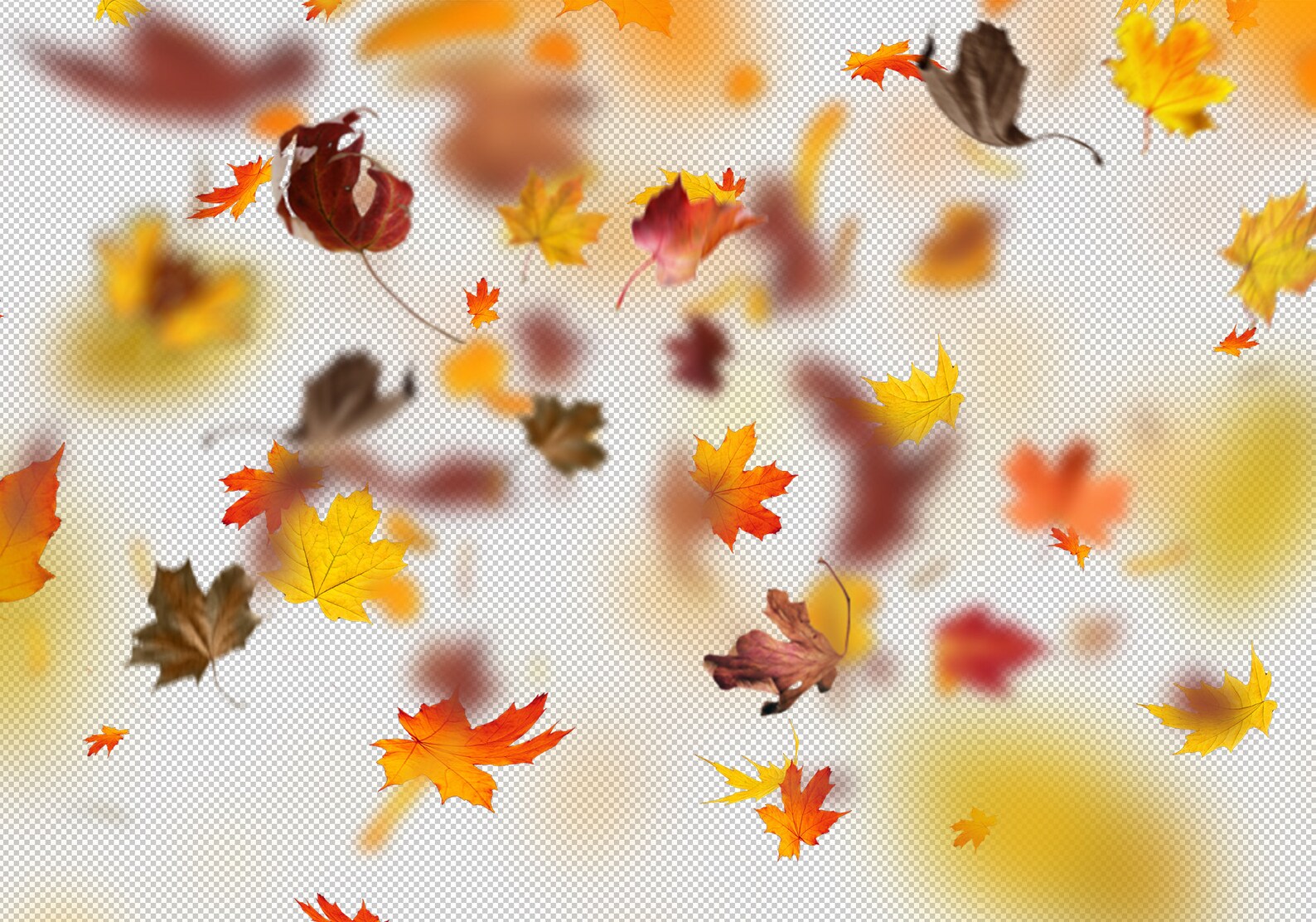 200 Falling Autumn Leaves Photo Overlays, Realistic Leaf, PNG - Etsy