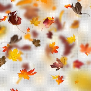 Autumn Leaves Overlays, Falling Leaves, Fall Leaves, Autumn Leaf ...
