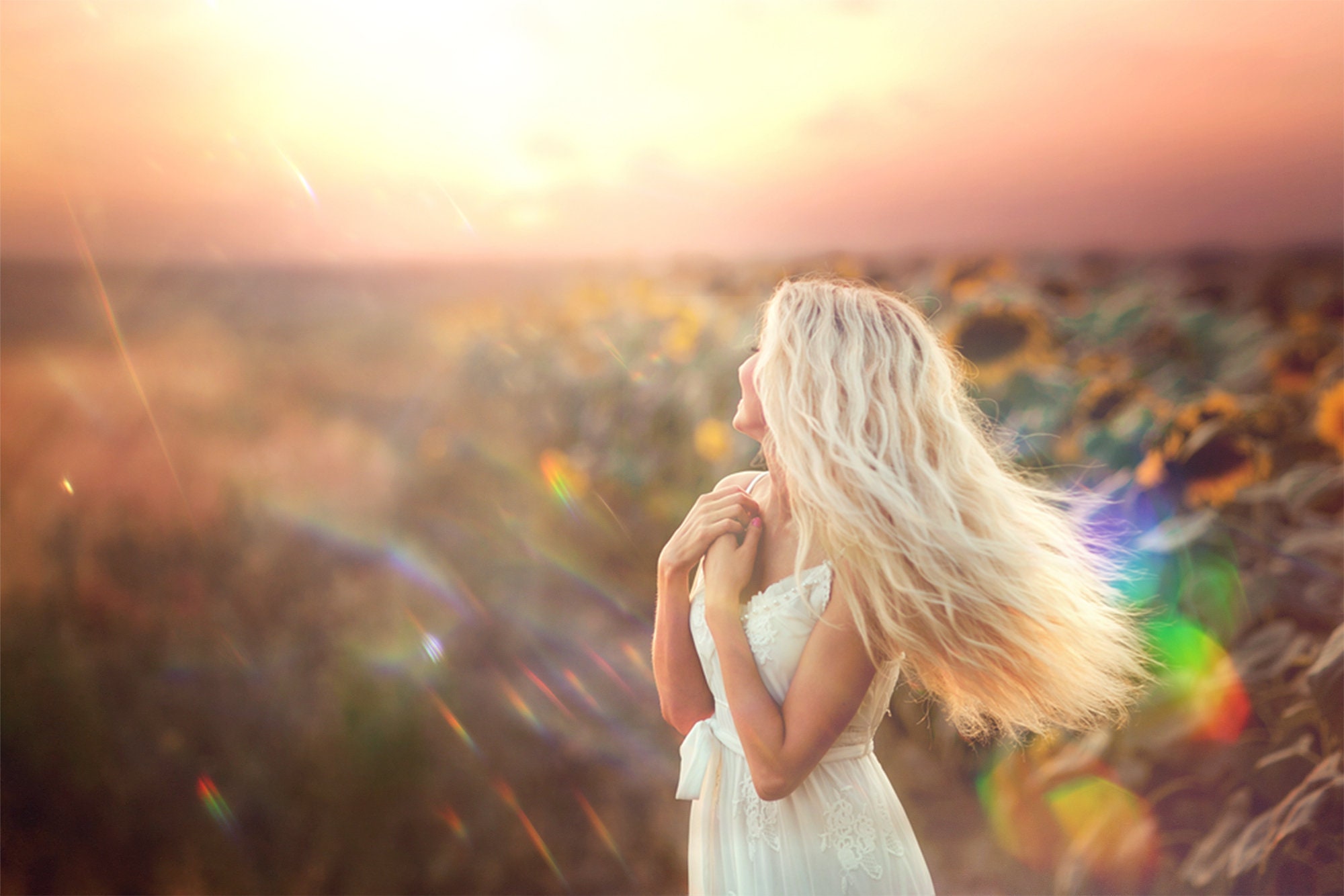 200 Summer Light Haze Sunlight Spring Bokeh Lens Overlays - Etsy