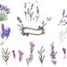 Bundle Watercolor Lavender Overlays, Lavender Spring, Lavender Flowers ...
