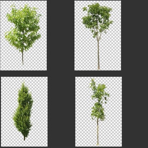 120 Forest Tress Clipart Digital Tree Cut Out Green Tree | Etsy