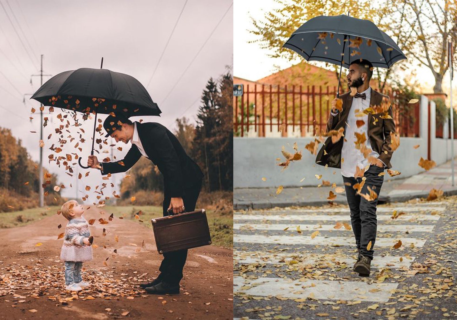 Autumn Leaves Overlays, Falling Leaves, Fall Leaves, Autumn Leaf ...