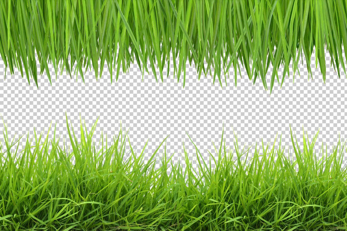 50 Grass Photo Overlays Photoshop Overlay Photo Prop Green | Etsy