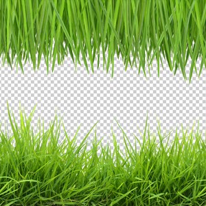 50 Grass Photo Overlays, Photoshop Overlay, Photo Prop, Green Grass ...