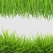 50 Grass Photo Overlays, Photoshop Overlay, Photo Prop, Green Grass ...