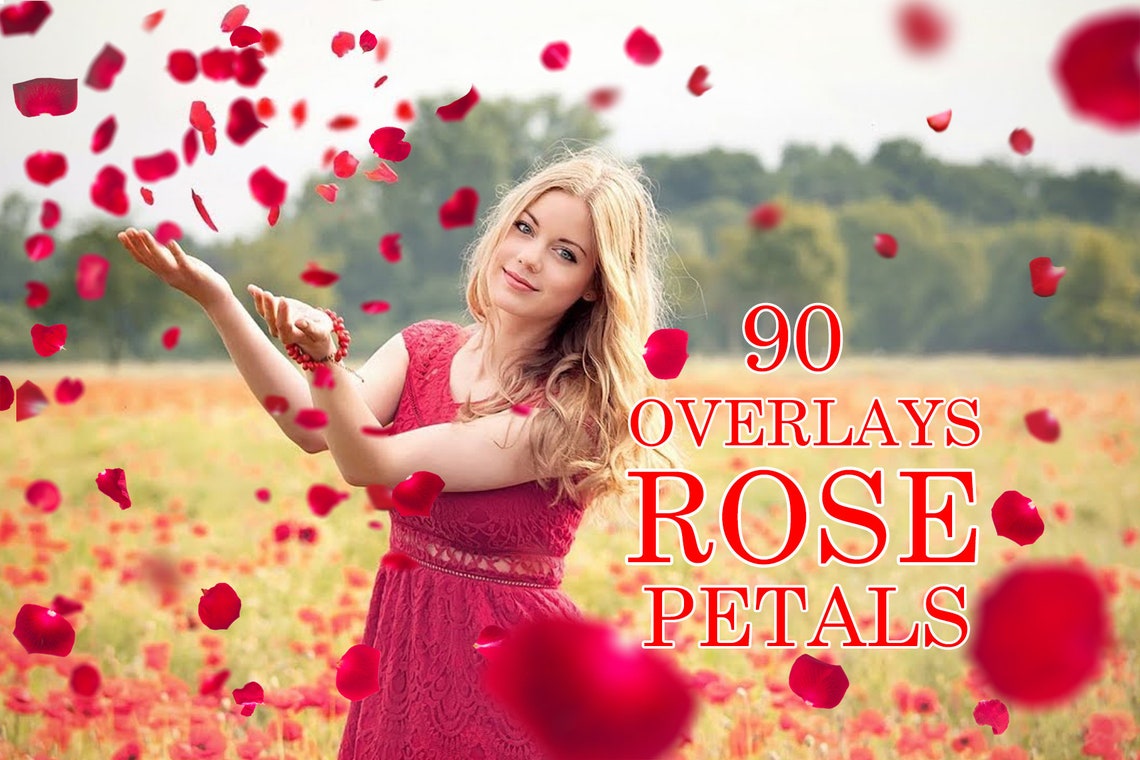 Falling Rose Petals Overlay for Photoshop Petals Red Overlay - Etsy