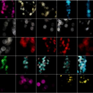 100 Lighten Bokeh Portratit, Lights Effect Photo Overlays, Overlays ...