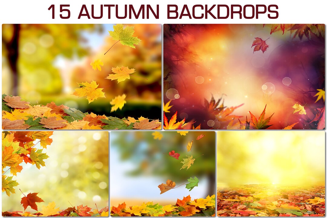 15 Autumn Backdrop, Dreamy Fall Backdrops, Photography Backgrounds ...