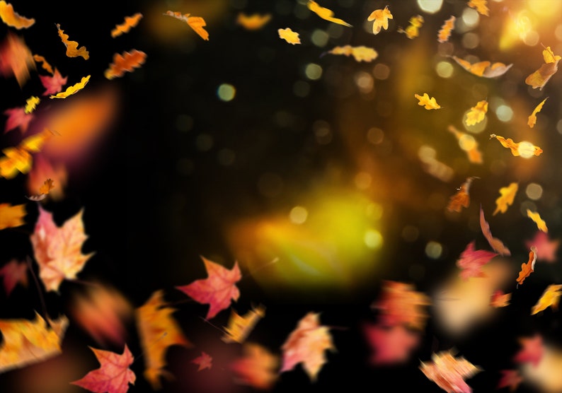 500 Autumn Leaves Photo Overlays, Falling Leaf, Realistic Fall Leaves ...