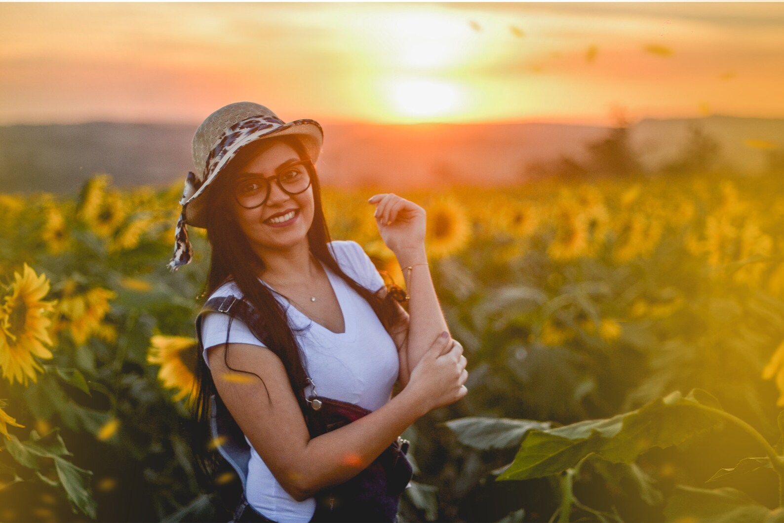 80 Sunflower Photo Overlays and Backdrops Flower Summer | Etsy