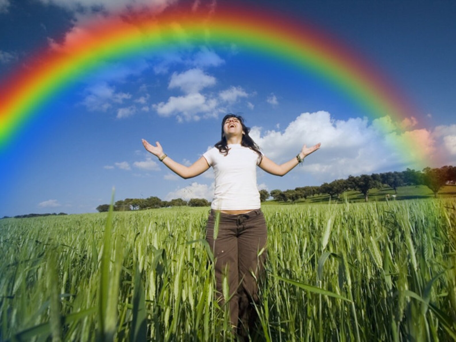 70 Rainbow Photo Overlays Rainbow Overlays Rainbow Clipart | Etsy