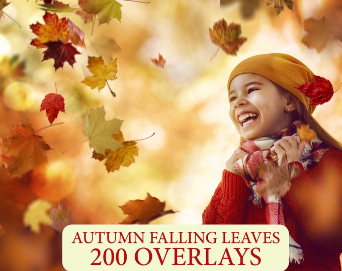 Autumn Leaves Overlays, Falling Leaves, Fall Leaves, Autumn Leaf ...