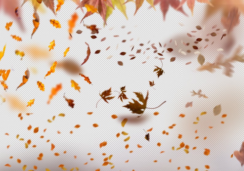 500 Autumn Leaves Photo Overlays Falling Leaves Fall Leaves | Etsy