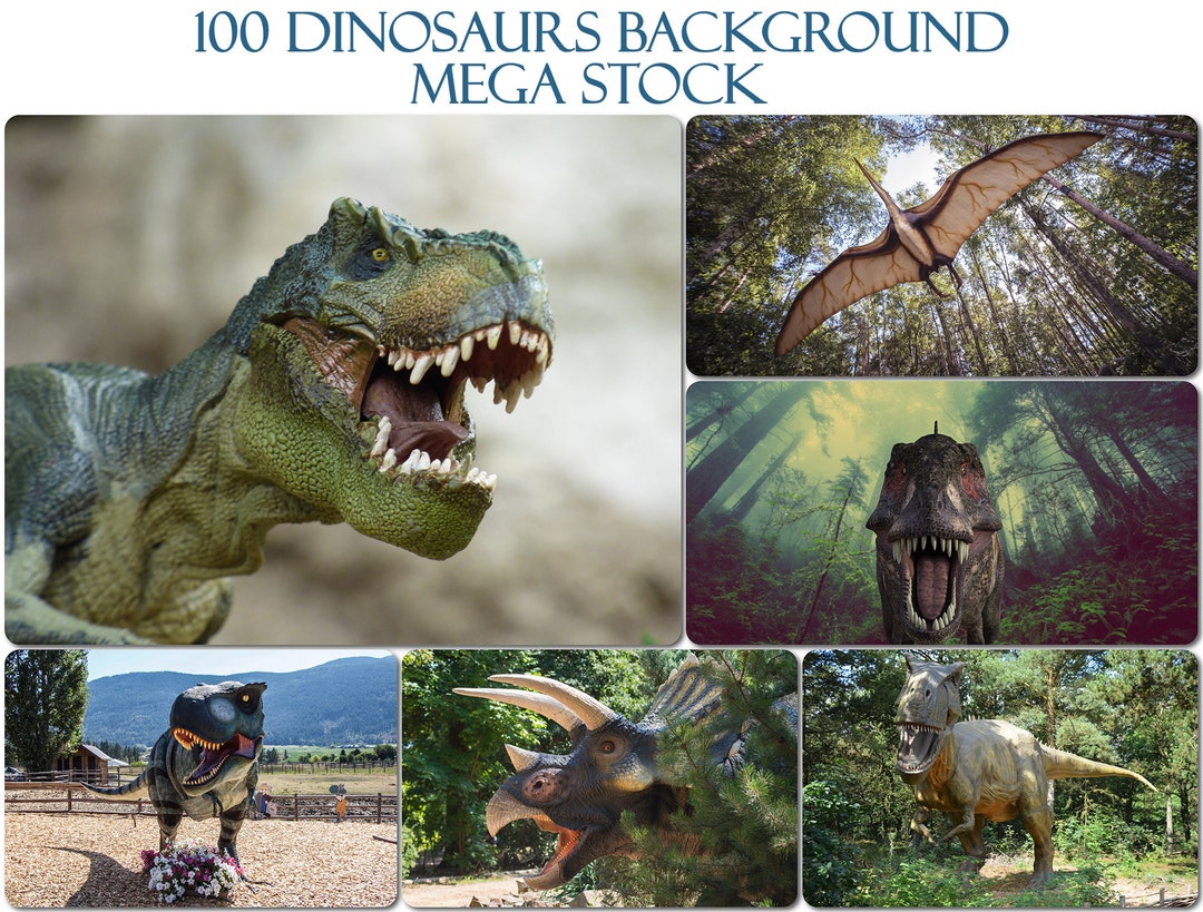 100 Dinosaur Digital Backdrop T-rex, Rex Dinosaur, Digital Background ...