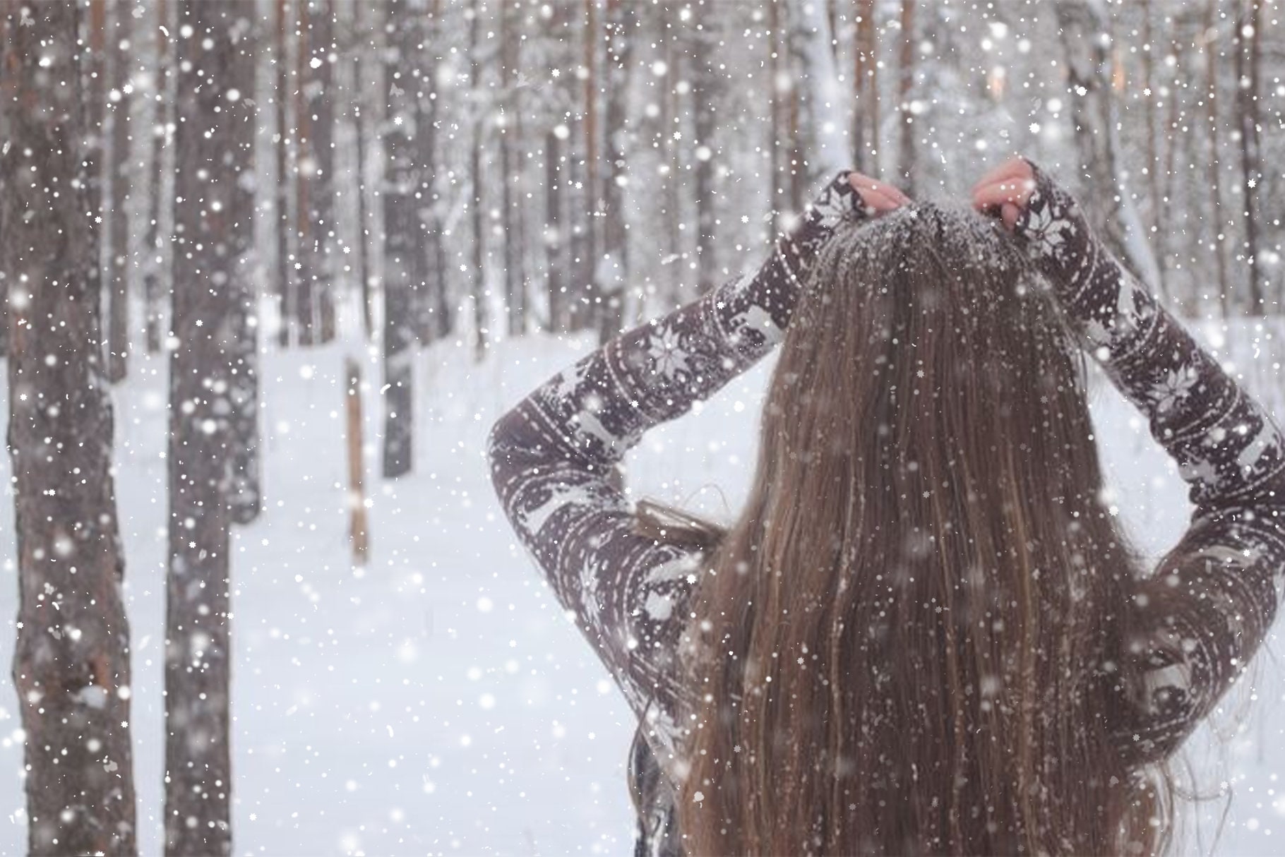 60 Winter Snow Photoshop Overlay Christmas Overlays Digital | Etsy