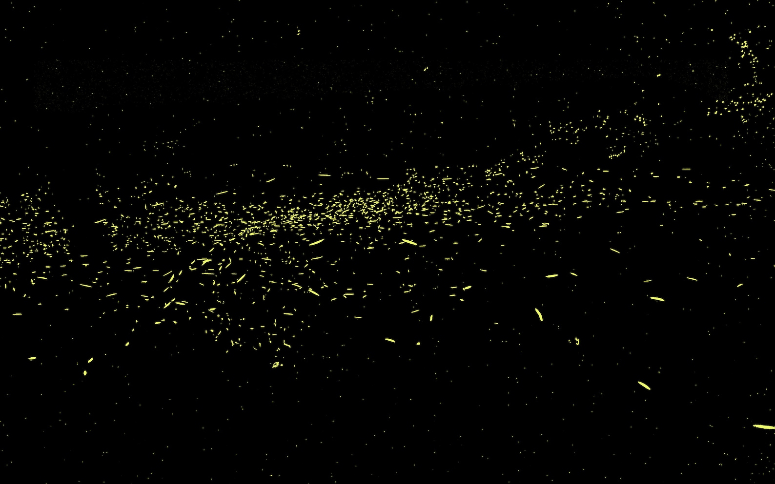 200 Magic Firefly Photo Overlays Fireflies Photoshop Overlay - Etsy Ireland