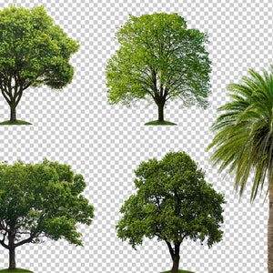 120 Forest Tress Clipart, Digital Tree Cut Out, Green Tree Photoshop ...