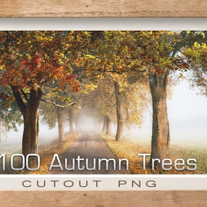 5000+ Photo Overlays MEGA Bundle, Autumn Branches, Spring Blossom ...