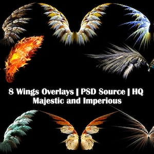 8 Wings Overlay Transparent, Wings Digital Overlays, Magic Fairy Wight ...
