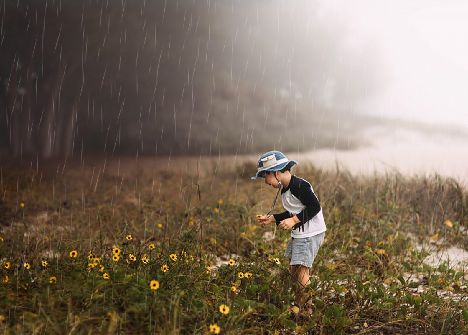 111 Fog & Rain Photo Overlays, Realistic Photoshop Effects, Rain Effect ...