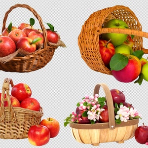 50 Apple Overlays, Red Apples, Green Apples, Apple Branch Photoshop ...
