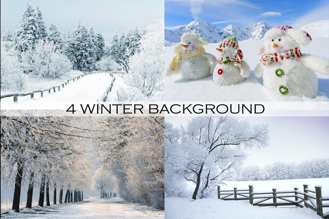 4 Winter Backgrounds, Christmas Tree Digital Backdrop, Tree Digital ...