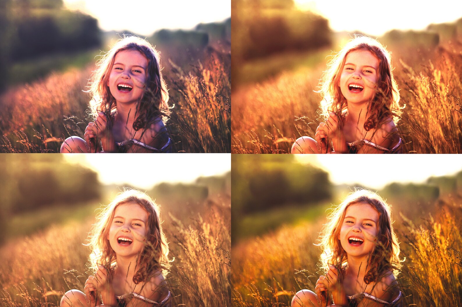 200 Autumn Photoshop Actions, Fall Filters, Warm Orange Tone, Golden ...