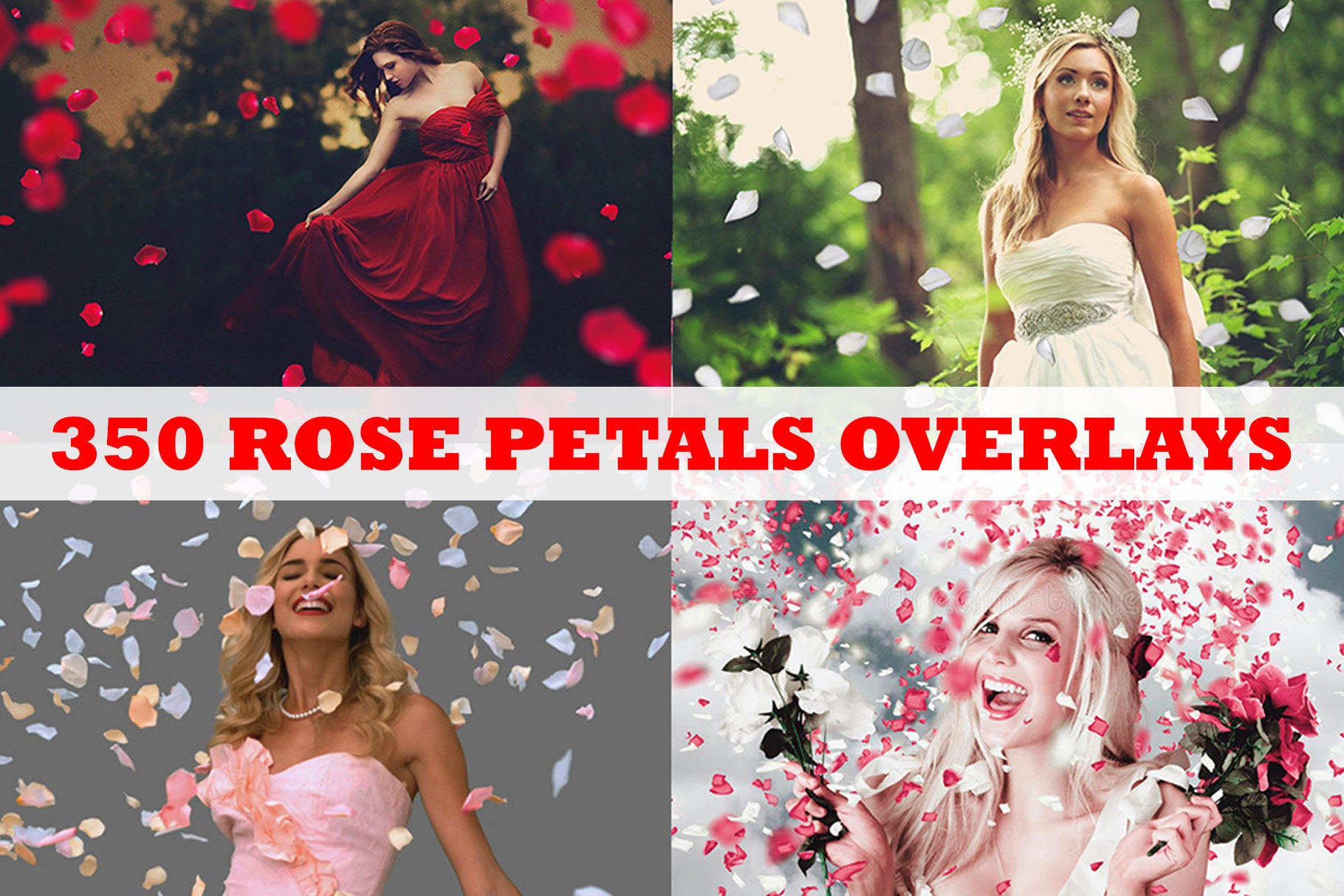 350 RED Rose Petals Overlays for Photoshop Petals Red - Etsy