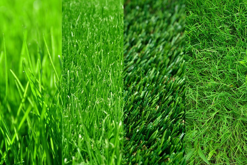 130 Digital Grass Textures Backgrounds Backdrops Photoshop | Etsy