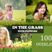 100 Grass Photo Overlays Photoshop Overlay Photo Prop Green - Etsy