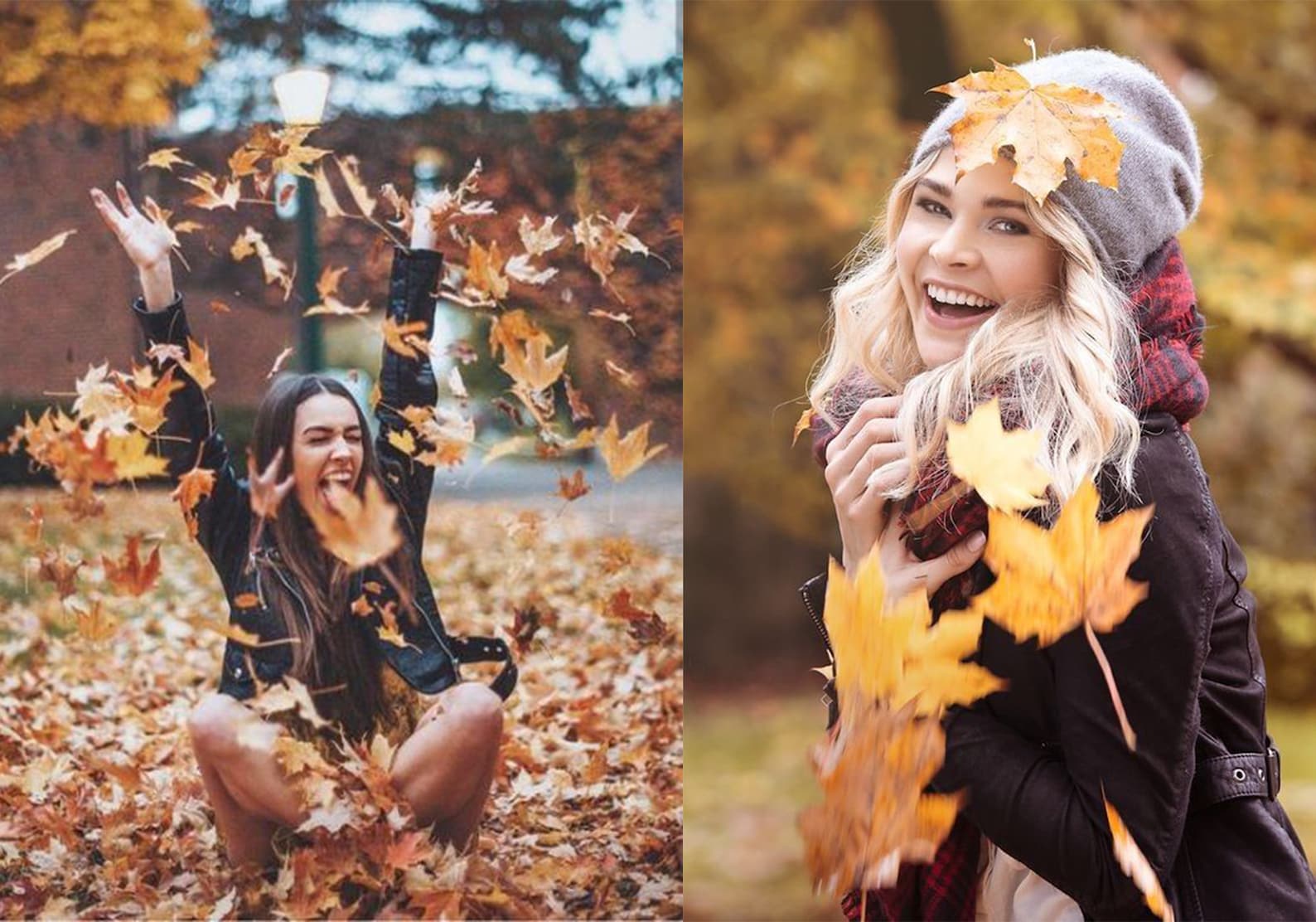 Autumn Leaves Overlays, Falling Leaves, Fall Leaves, Autumn Leaf ...