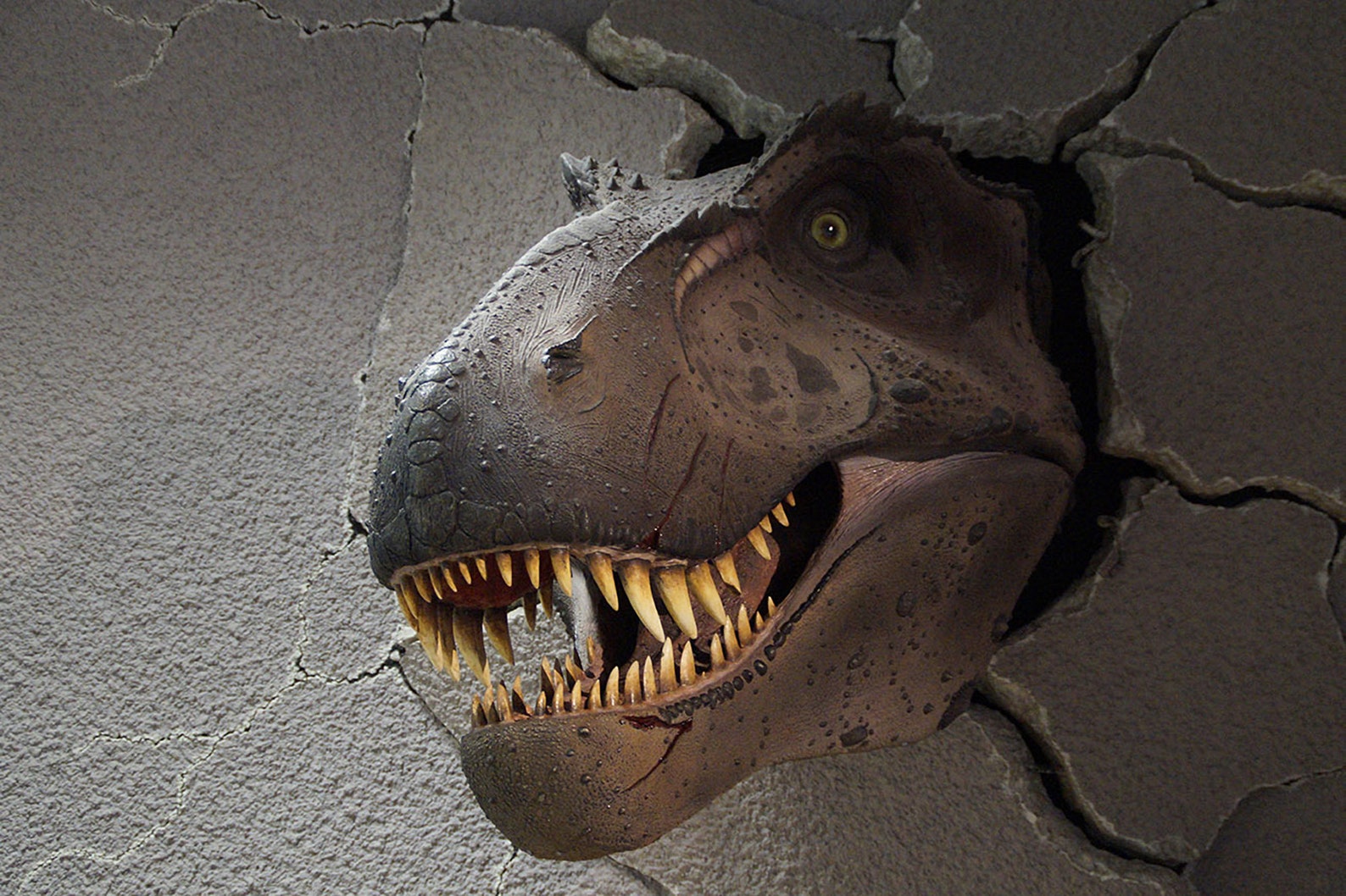9 Dinosaur Digital Backdrop T-rex, Rex Dinosaur Background, Digital ...