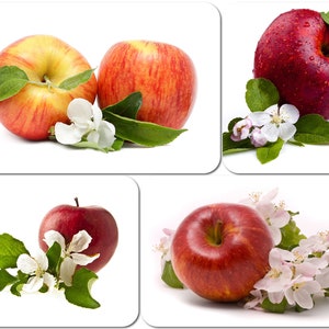 50 Apple Overlays, Red Apples, Green Apples, Apple Branch Photoshop ...