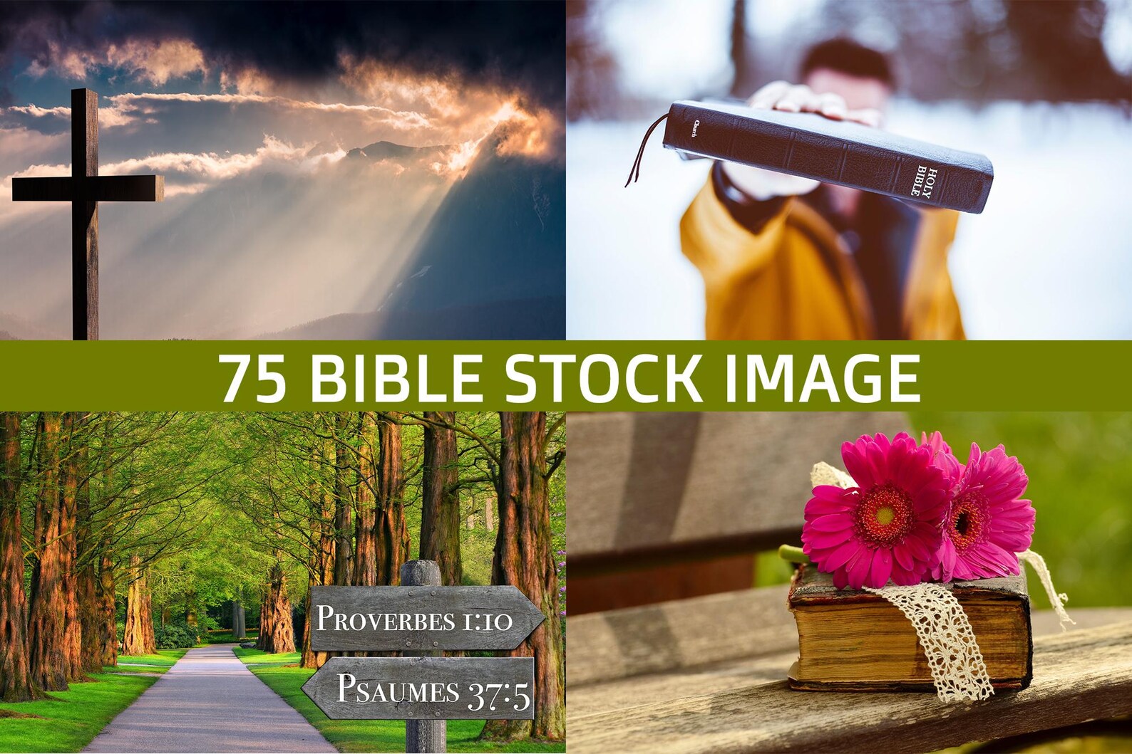 75 Bible Stock Images, Christian Faith Photography, Jesus Christ ...