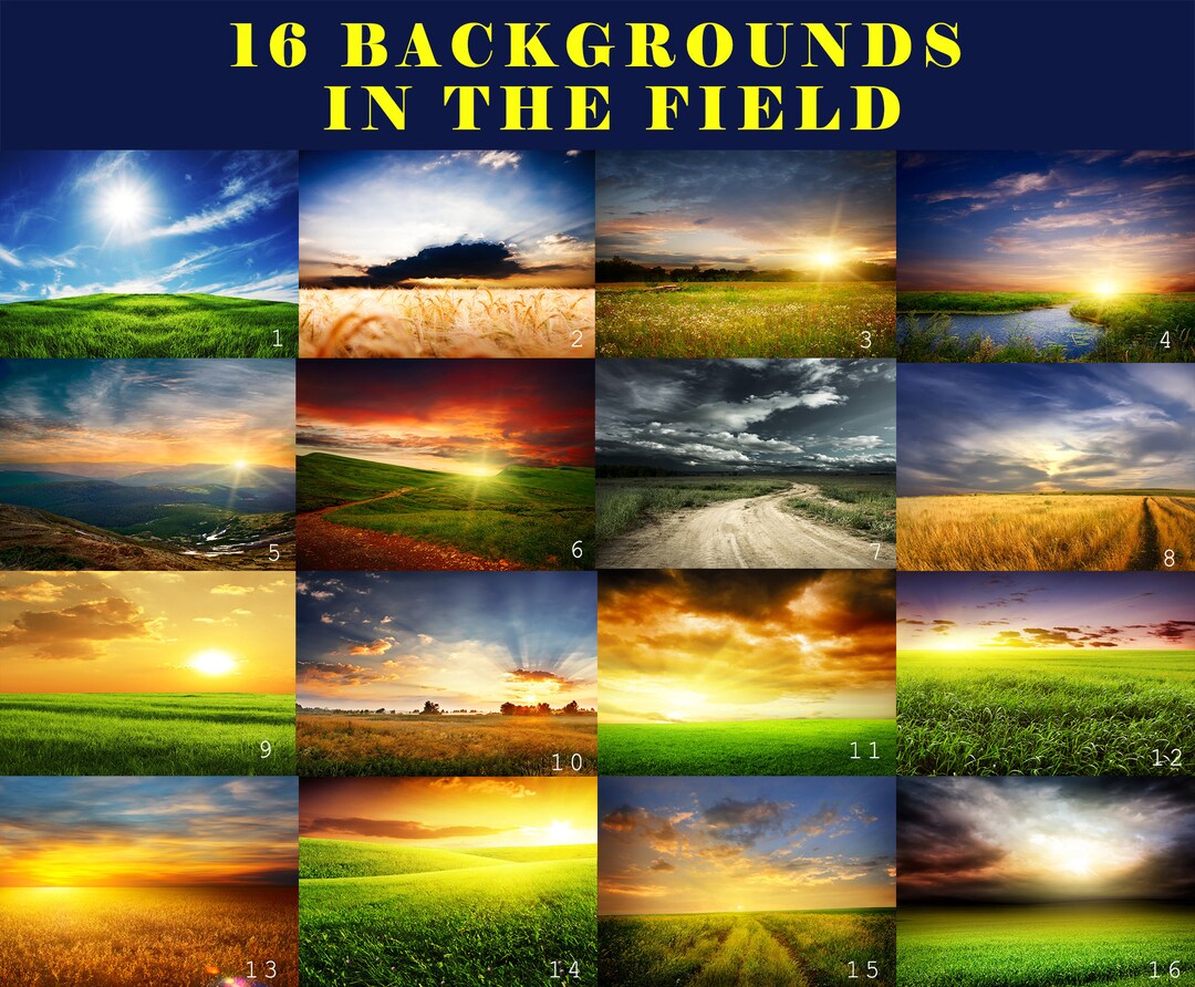 16 in the Field on Grass With Sunshine Summer Digital Backgrounds ...