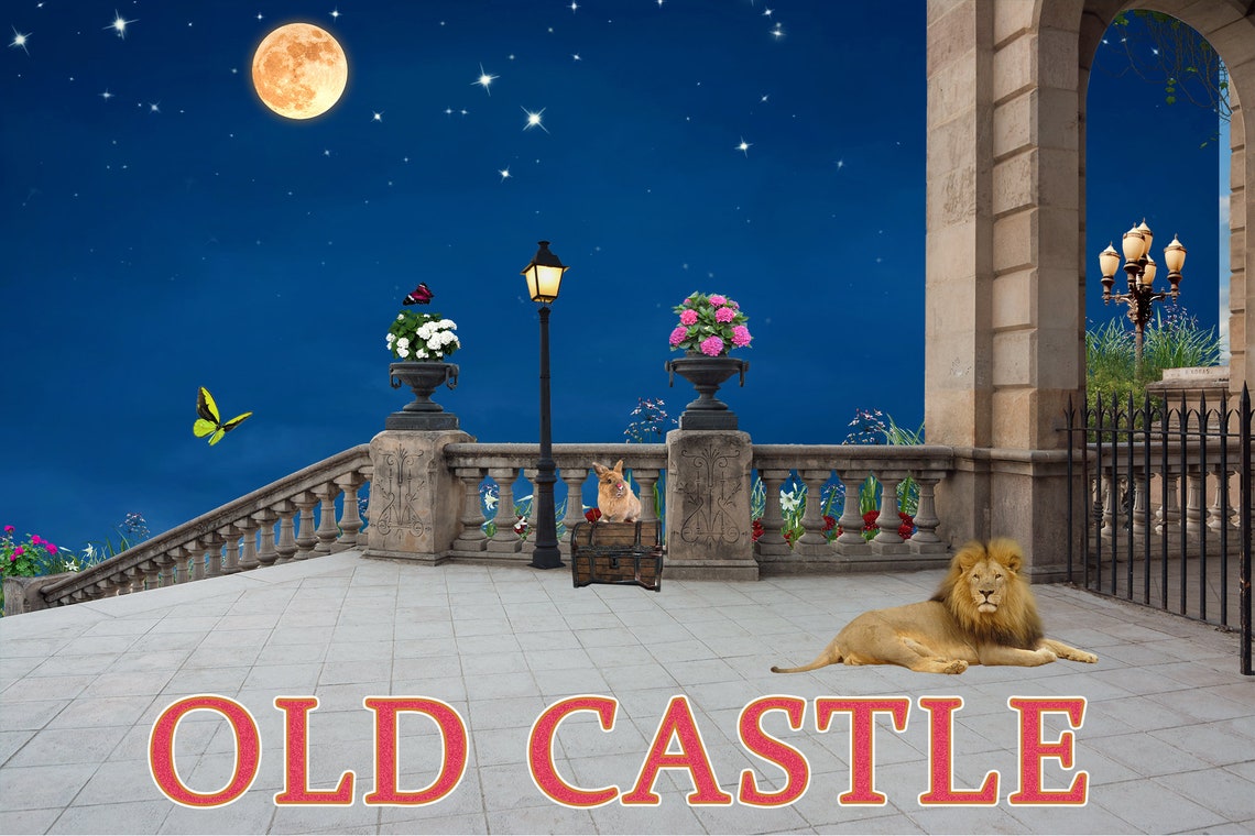 Old Castle Template PNG Files Princess Citadel Overlays | Etsy