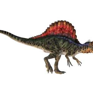 9 Dinosaur Digital Backdrop T-rex, Rex Dinosaur Digital Background ...