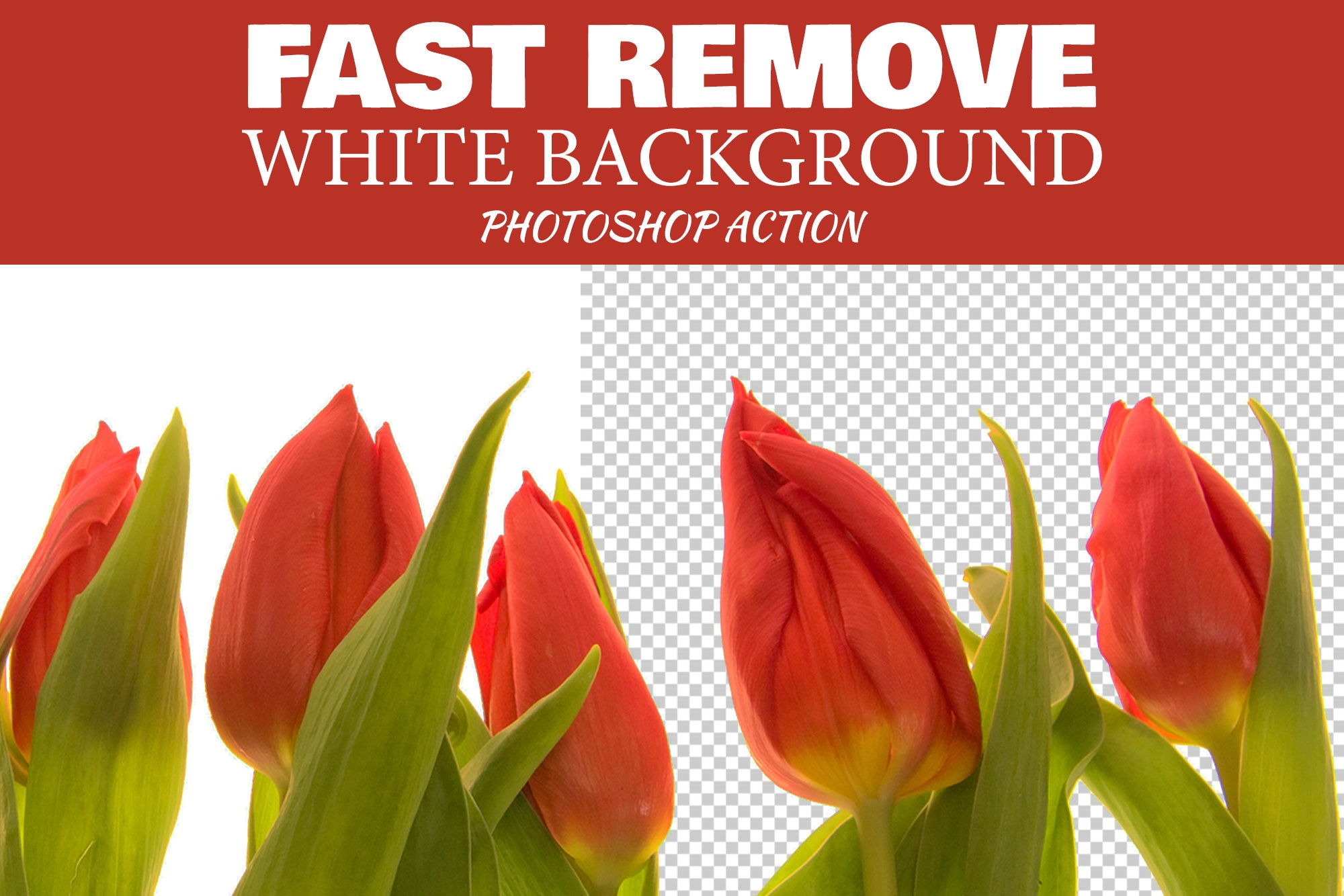 Photoshop Effects White Background