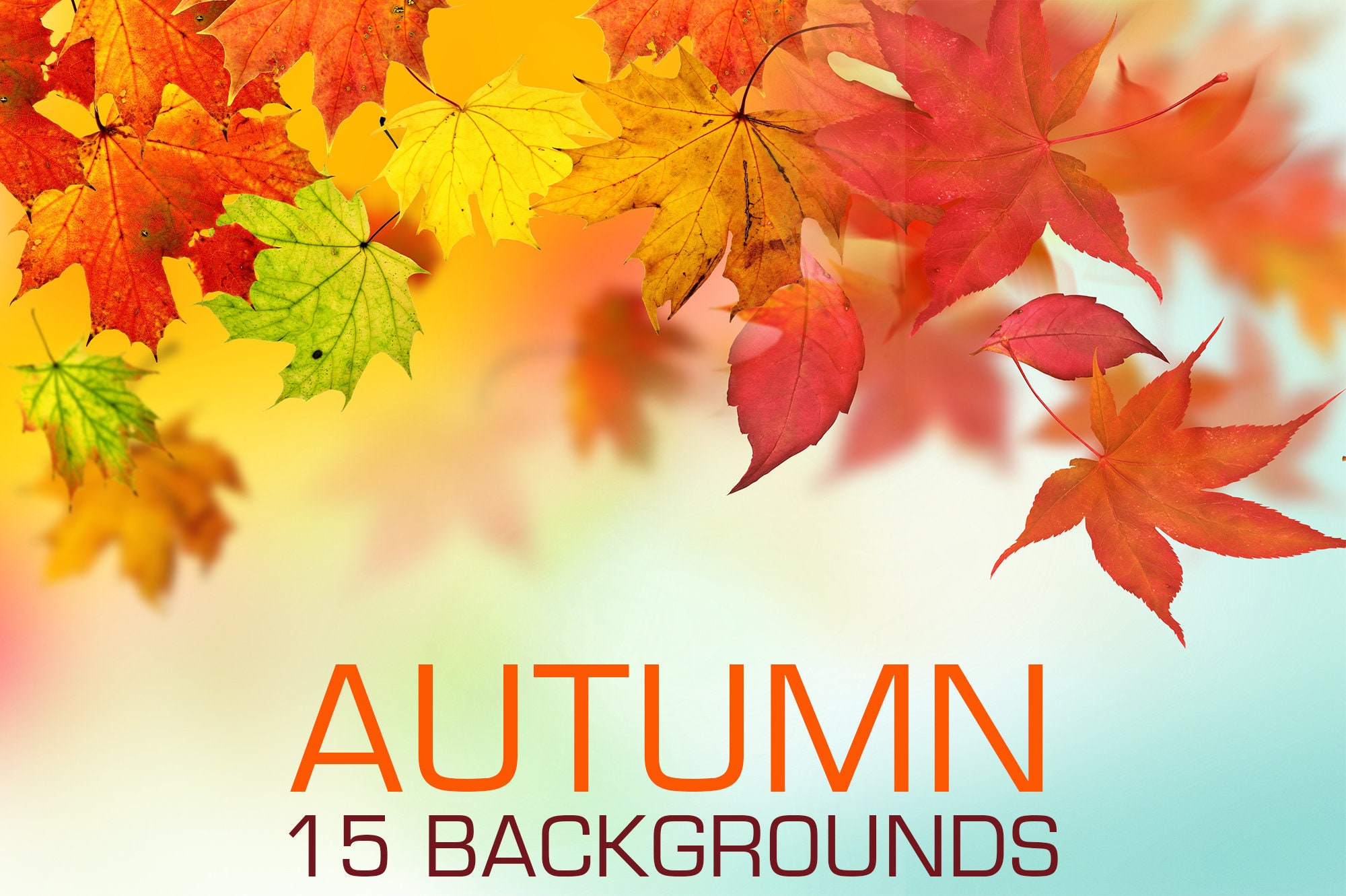 15 Fall Leaves Background Photoshop Overlays Fall Overlays - Etsy