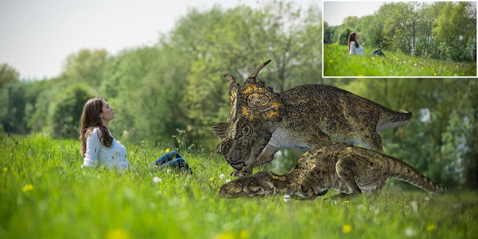 100 Dinosaurs Photo Overlay Rex Tyrannosaurus T-rex Photoshop - Etsy