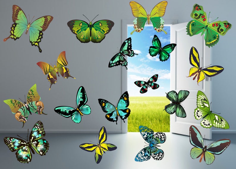 150 Butterflies Photo Overlays, Butterfly Overlays for Photoshop, Photo ...