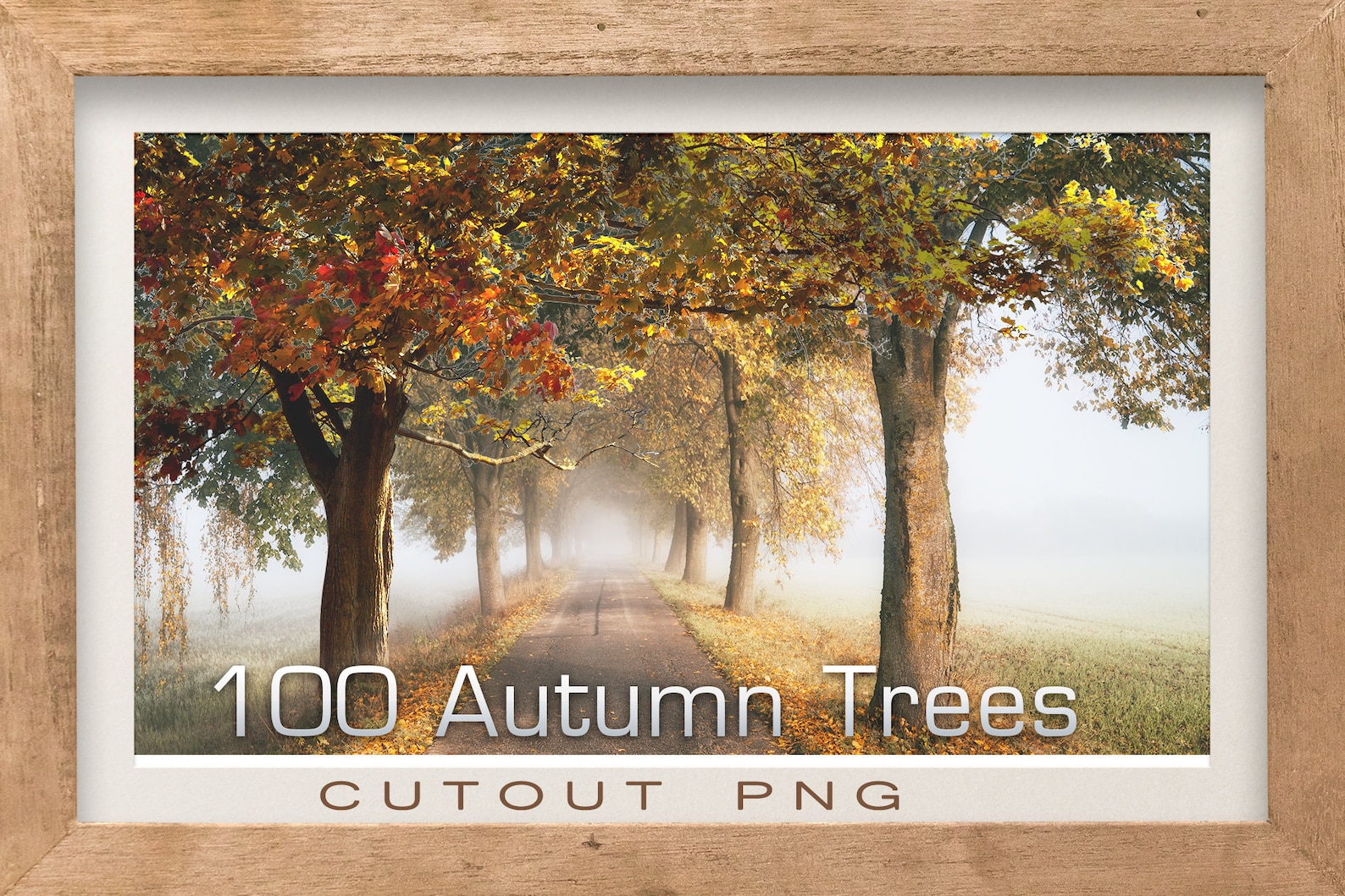 100 Autumn Trees Isolated PNG Transparent, Digital Tree Overlays ...