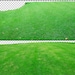 130 Digital Grass Textures, Backgrounds, Backdrops, Photoshop Overlays ...