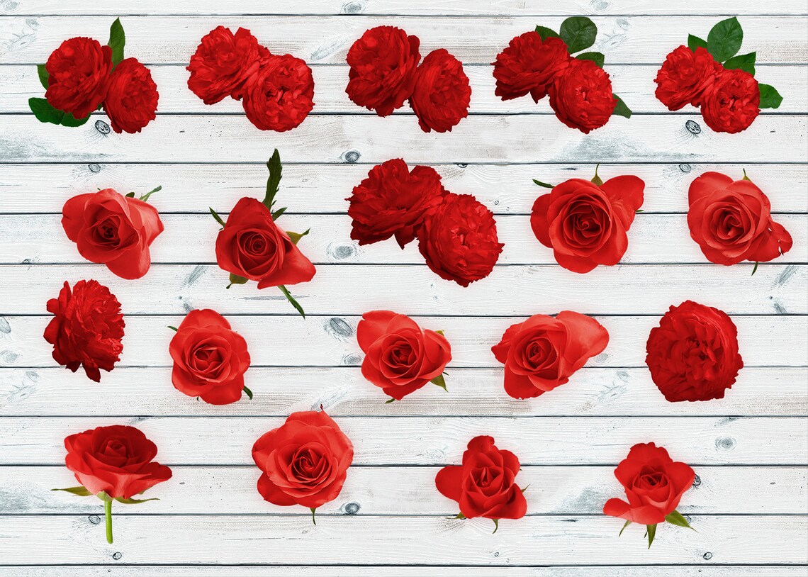 104 Real Red Rose Roses Floral Clipart Overlay Floral Rose - Etsy UK