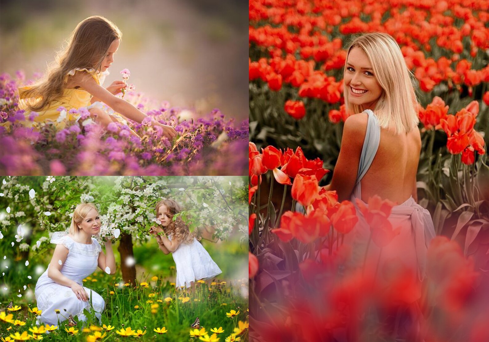 390 Flower Frames Photo Overlays Summer Overlays Blurred - Etsy